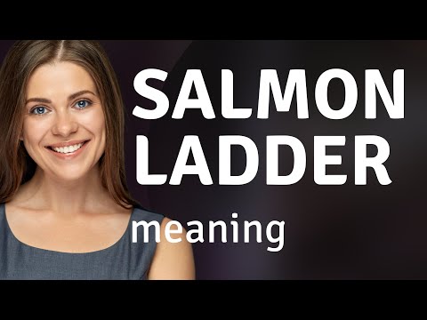 Understanding the "Salmon Ladder": A Unique Phrase Explained