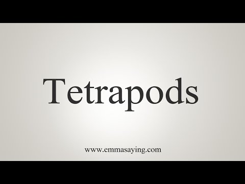How To Say Tetrapods