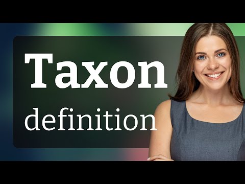 Taxon | TAXON meaning