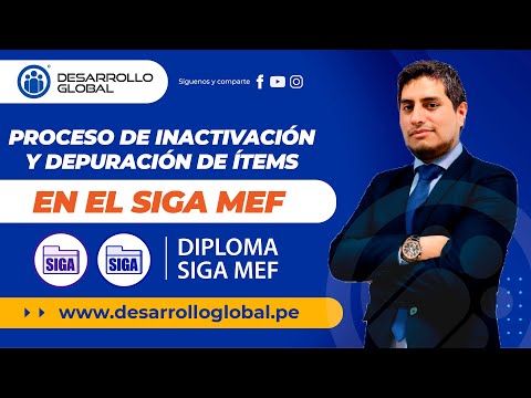 PROCESO DE INACTIVACI脫N Y DEPURACI脫N DE 脥TEMS EN EL SIGA MEF