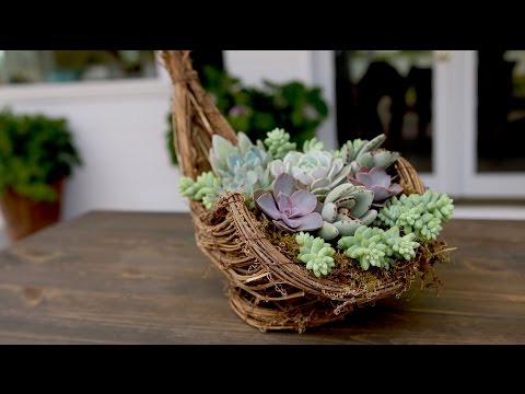 Thanksgiving Cornucopia Meaning: Why a Horn of Plenty Symbolizes ...