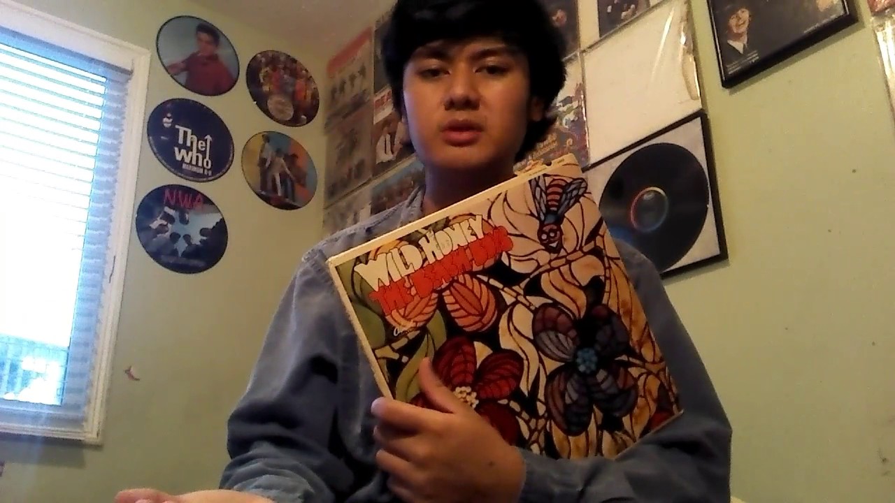 My beach boys vinyl collection part 1