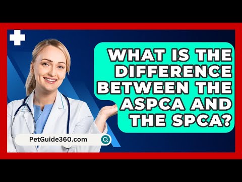 What Is The Difference Between The ASPCA And The SPCA? - PetGuide360.com
