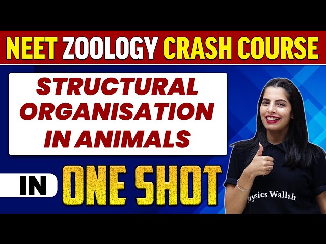 Understanding Structural Organization in Animals: A Comprehensive Guide ...