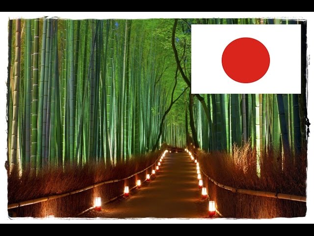 Сакура – Символ Японии И Японской Культуры