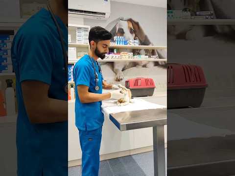 Paws & claws specialist veterinary clinic Riyadh,Saudi Arabia