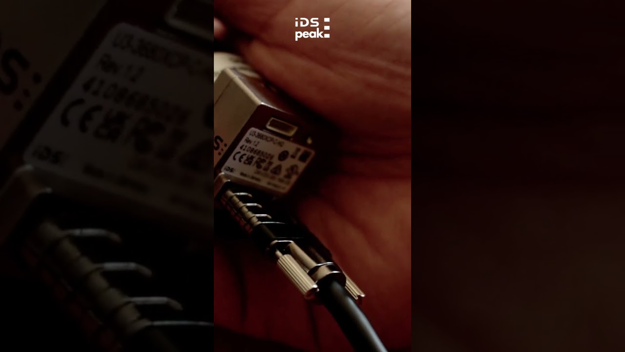 IDS peak feature - reconnect!#reconnecting