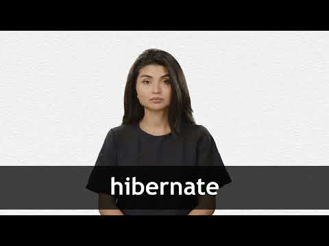 HIBERNATE definition in American English | Collins English Dictionary