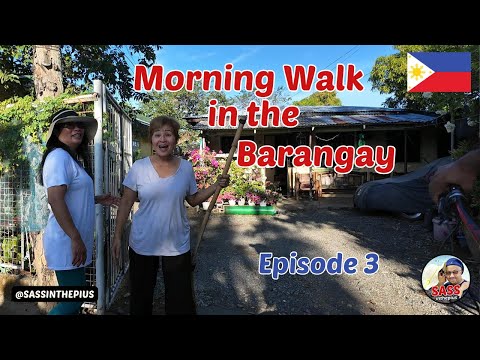 Our Morning Walk in the Barangay 3 #travel #travelvlog #philippines #filipino #expat #passportbros