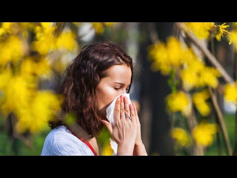 Pollen season: Good news for car wash businesses, bad for allergy sufferers