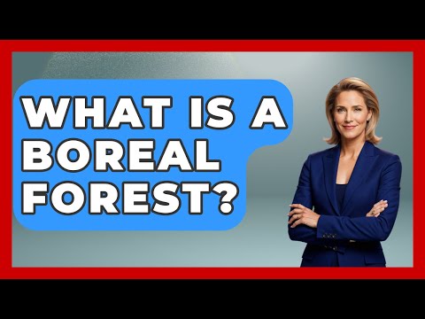 What Is A Boreal Forest? - The Geography Atlas