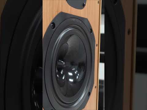 New Harbeth C7ES-3 XD2 – British Sound, Refined! 🇬🇧🎶