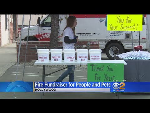2 WeHo Companies Team Up To Help Pets Affected By Brush Fires.