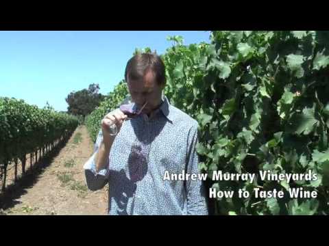 How to Wine Taste - Wine Tasting with Andrew Murray