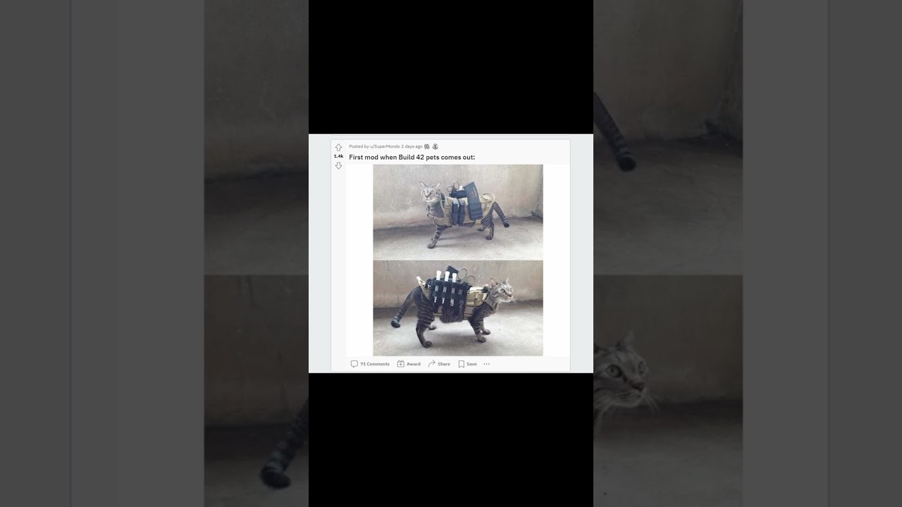 Zomboid Reddit Memes #1 #shorts #projectzomboid #memes #meme #reddit #redditmemes