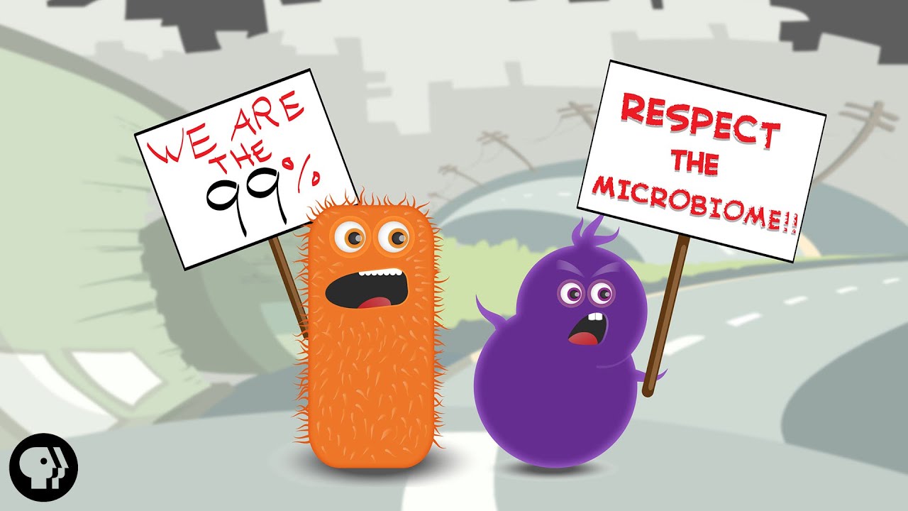 You Are Mainly Microbe!