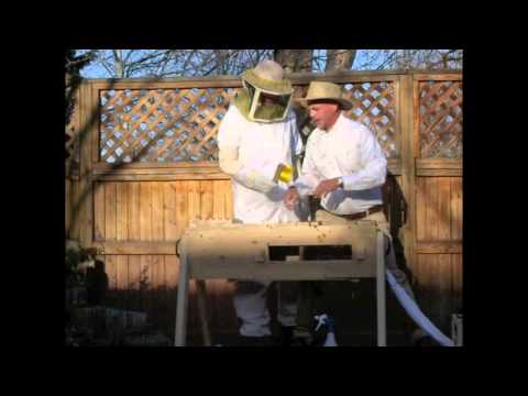 Bee Install