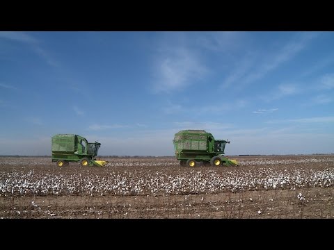 Harvest Help | Collin Klattenhoff