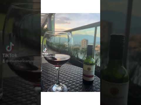 ππ»EN VINO VERITAS! π¨π΄π·