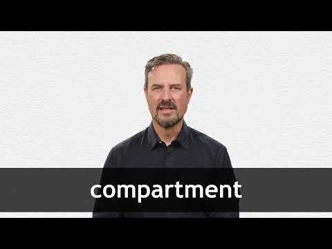 COMPARTMENT definition and meaning | Collins English Dictionary