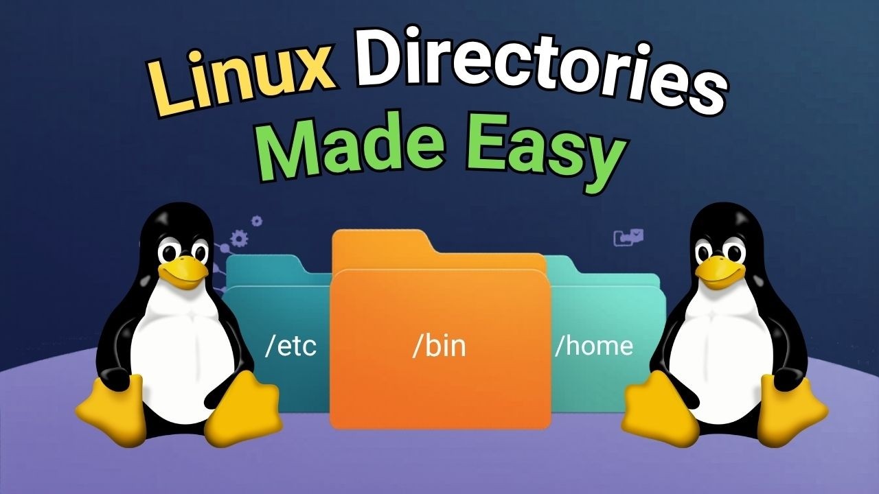 Linux Directories Made Easy: What Every Folder Does