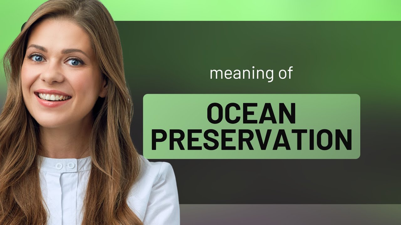 Ocean Preservation: A Deep Dive into Saving Our Seas