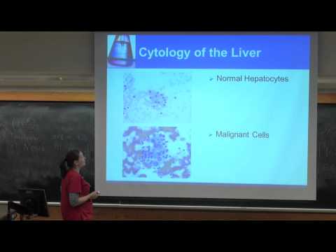 Careers in MCB: Cytotechnology Pt. 1