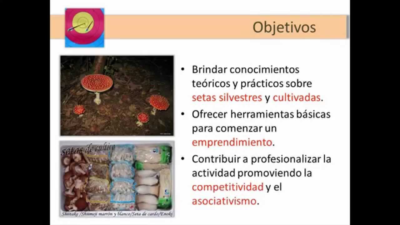 Cultivo de Hongos Comestibles :: Curso a Distancia Tutoreado