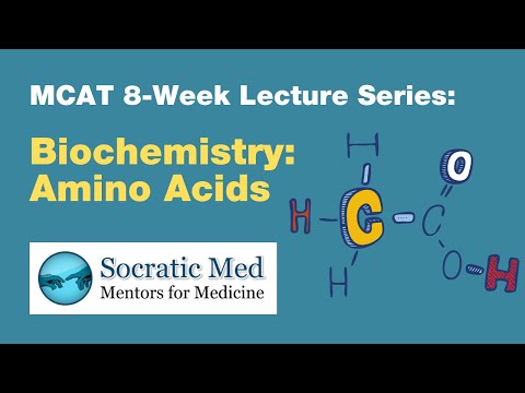 Free 8-Week MCAT Program | Biochemistry: Amino Acids | Socratic Med