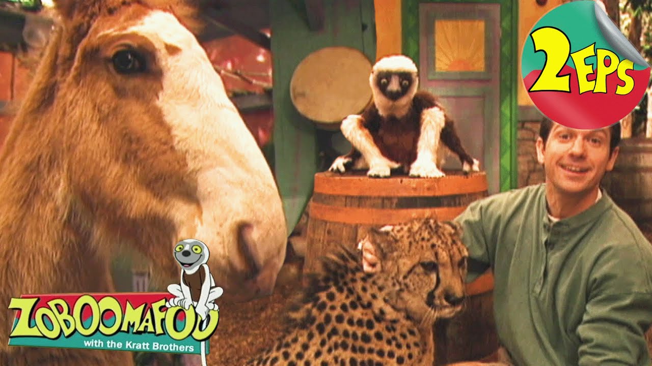 Fast and slow + Horses | Zoboomafoo - Double Feature | Full Episodes 27 + 28