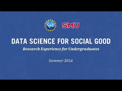 Data Science for Social Good NSF REU 2024 Recap