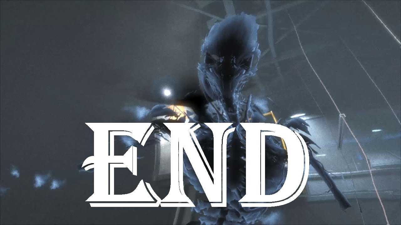 Outlast 1080p HD Gameplay Walkthrough Ending/Final - The Walrider Project