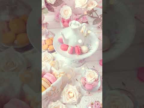 [R] Macaron tea time (Live)