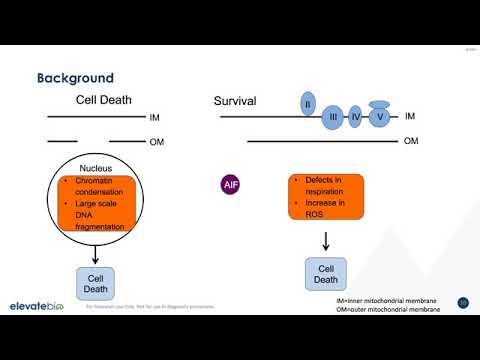 Metabolic regulation of adaptive immune cell function