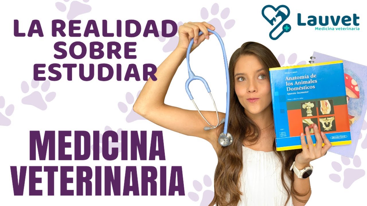 WHAT YOU NEED TO KNOW IF YOU WANT TO STUDY VETERINARY MEDICINE - Lauvet