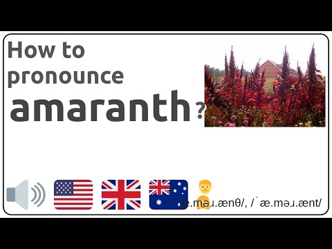 How to pronounce amaranth in english?