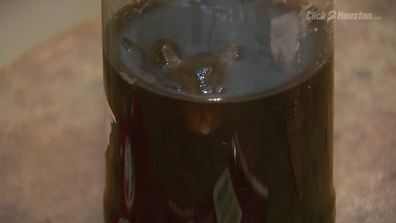Rodent found in Dr. Pepper bottle
