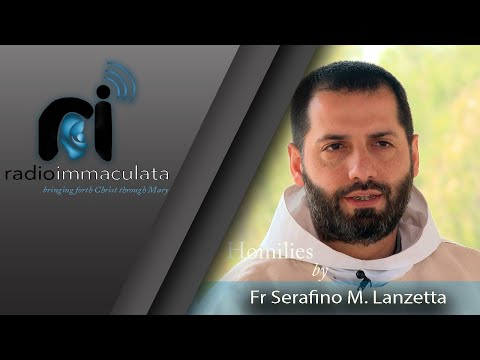 Homily St. Catherine of Sienna - In the Name of the Blood of Christ