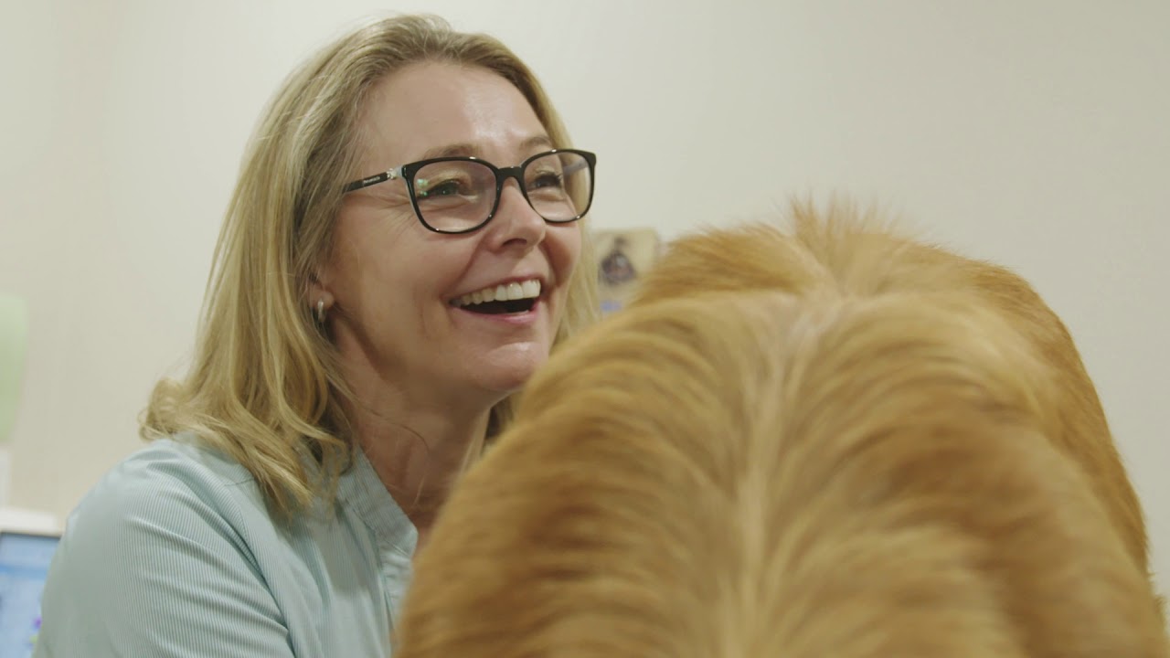 VetPartners | Partnering With Vets Across Australia & New Zealand