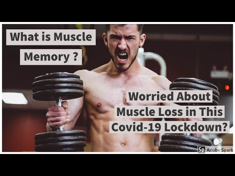 What is Muscle Memory| Recover Your Lost Muscle Fast (In Hindi)|ALPHA STRENGTH & POWER