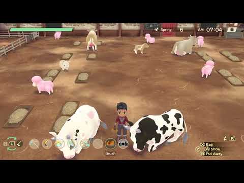 How to Wake Animals Up in STORY OF SEASONS: A Wonderful Life