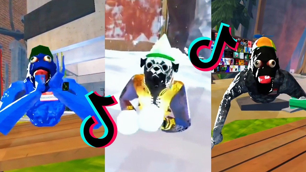 40 Minutes Insane Funny Memes of Animal Company | Legendary Compilation