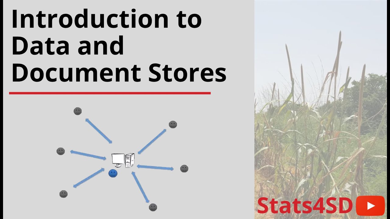 Introduction to Data and Document Stores