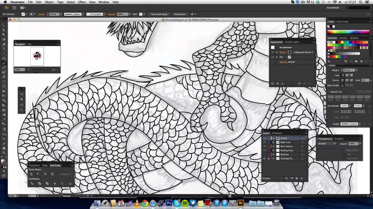 Chinese Dragon by Tom Van Dijk