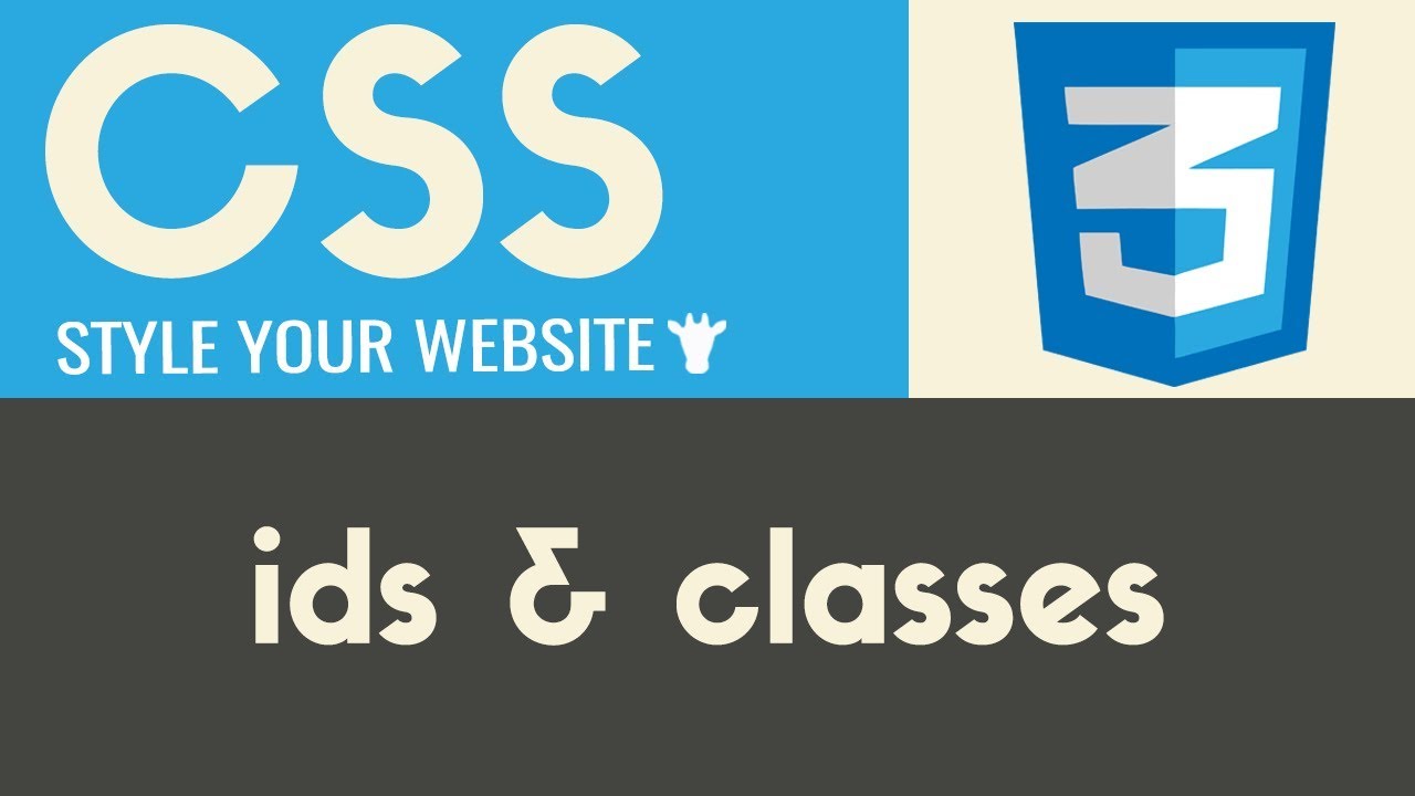 IDs & Classes | CSS | Tutorial 11