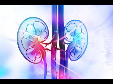 Bioengineered Organs and Kidney Diseases with Susan Quaggin, MD
