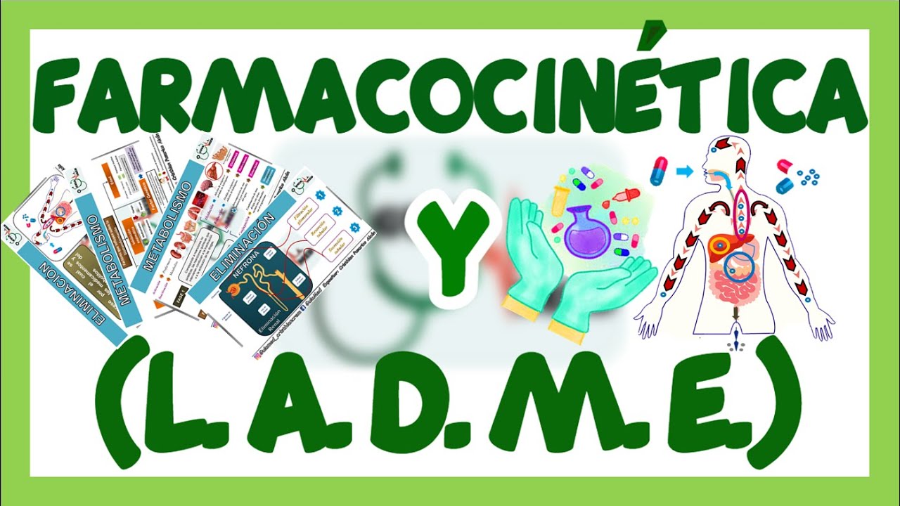 Pharmacology: Drug Metabolism and Elimination | GuiaMed