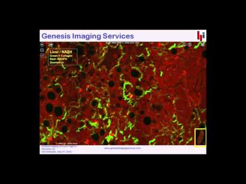 Diagnostic Imaging Services, Medical Imaging in India