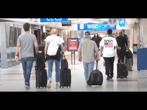 Conversation with Rhonda Hamm-Niebruegge, Director of St. Louis Lambert Int. Airport