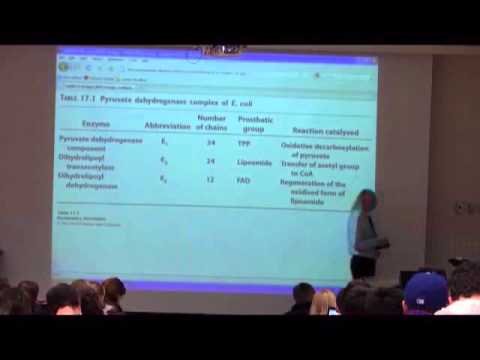 Citric Acid Cycle I